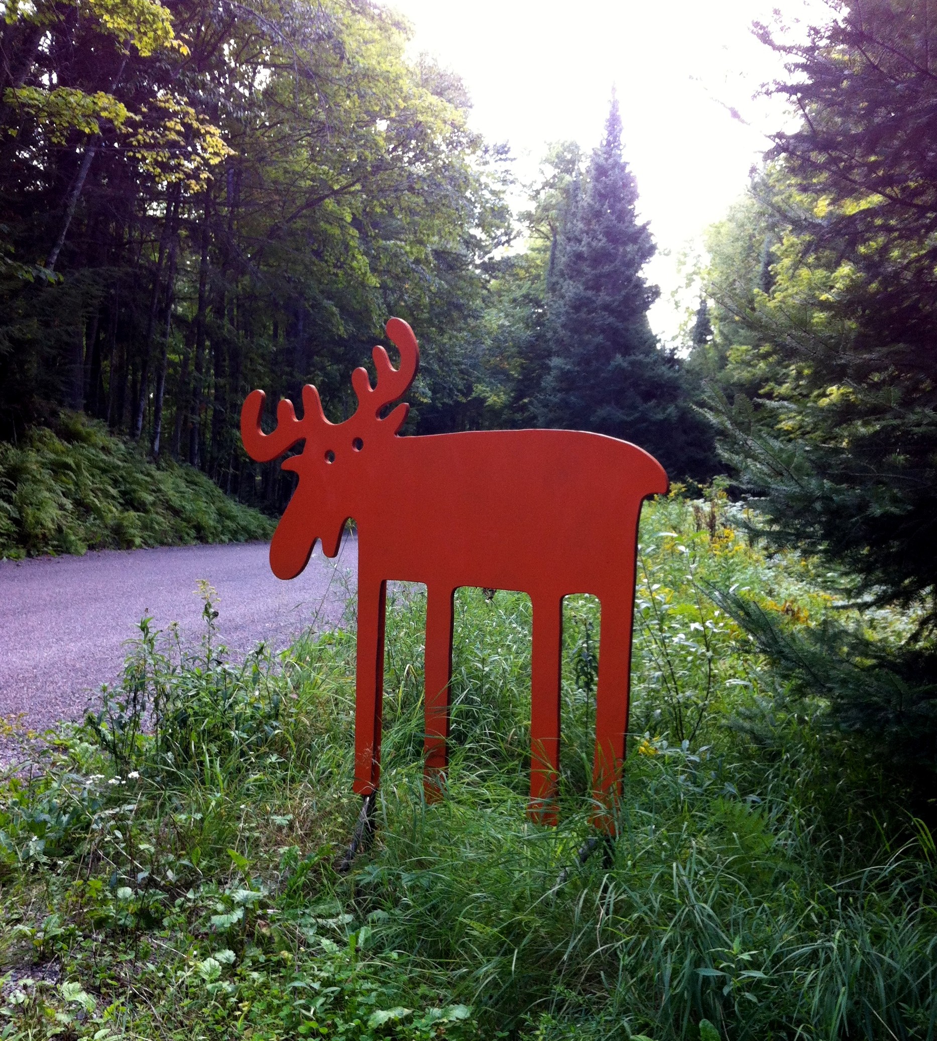 Vacation Series Part I: The North Woods | persnickety